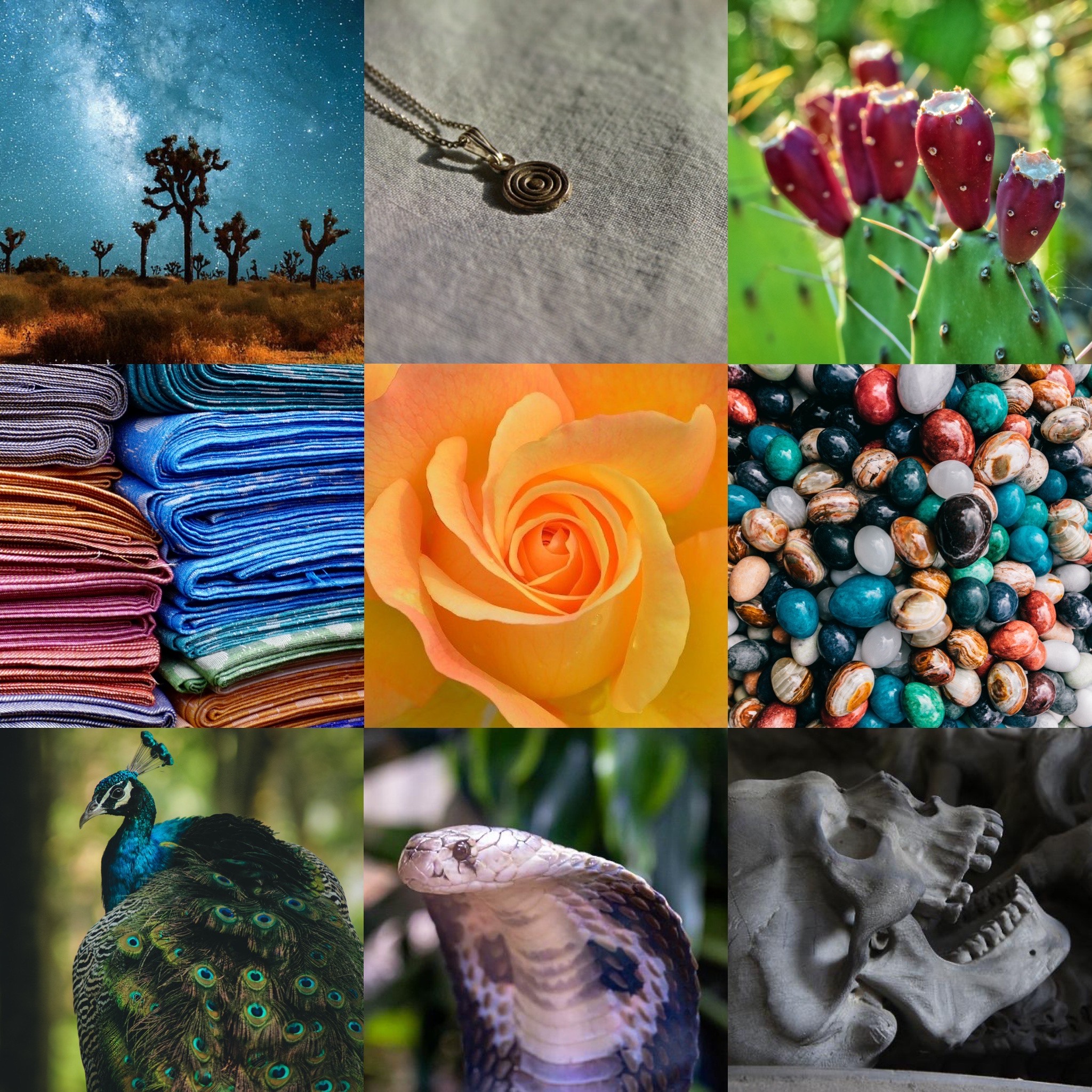 #MoodPitch: The Most Beautiful Pitch Session Ever – Christine Letizia